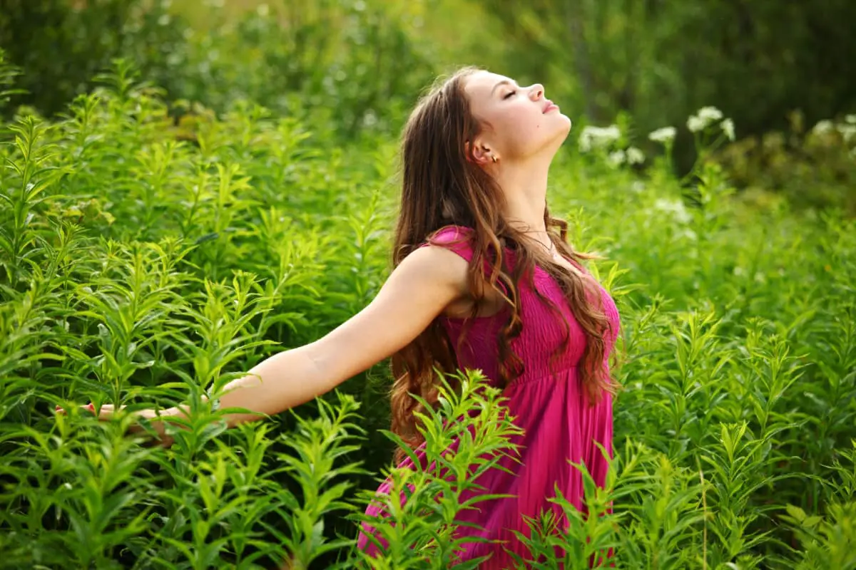 What Is the Human Relationship With Nature?