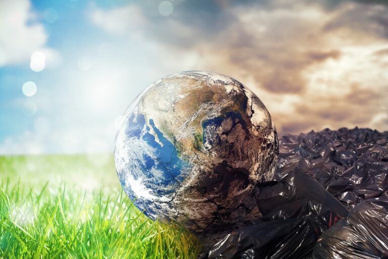 What Is the Human Relationship With Nature?