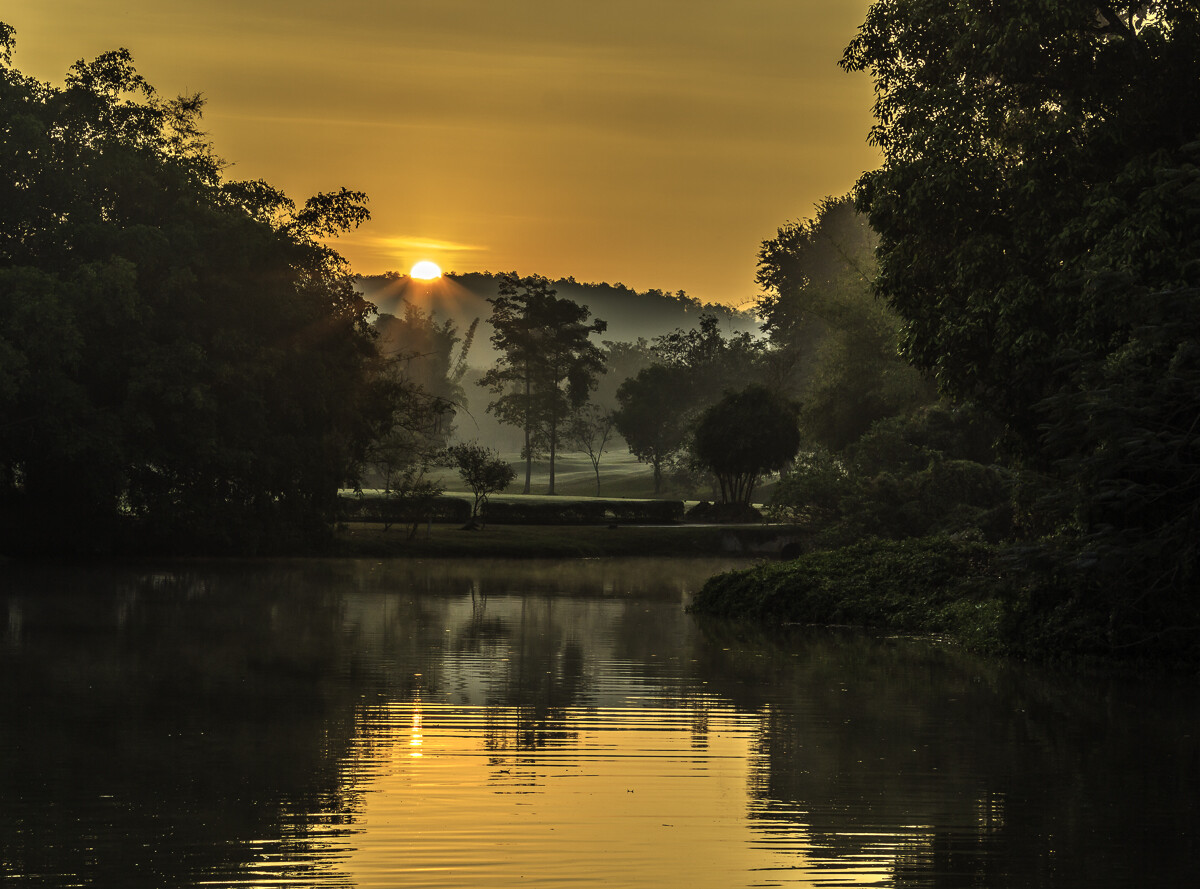 Nature and the Environment - What Is The Difference?