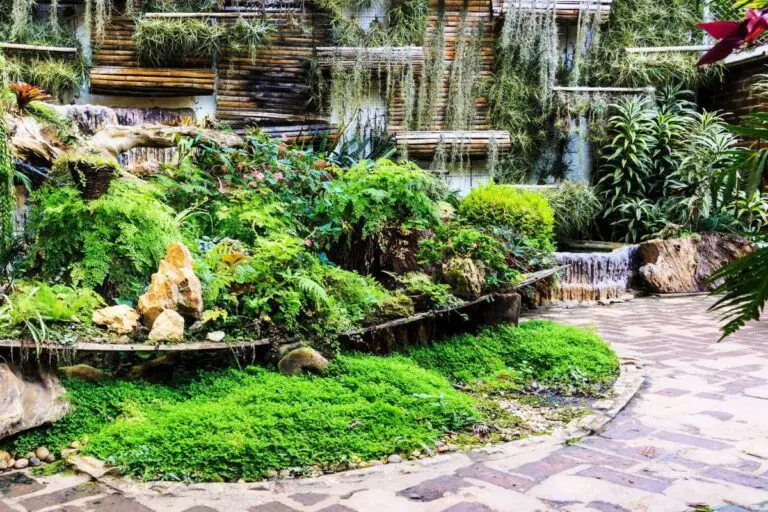 Most Important Outdoor Plants That Reduce Air Pollution