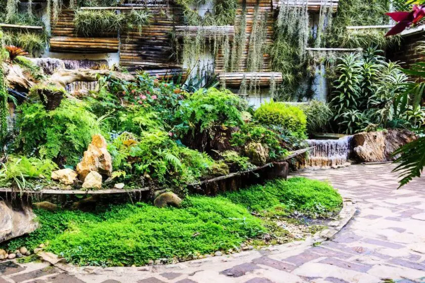 Most Important Outdoor Plants That Reduce Air Pollution