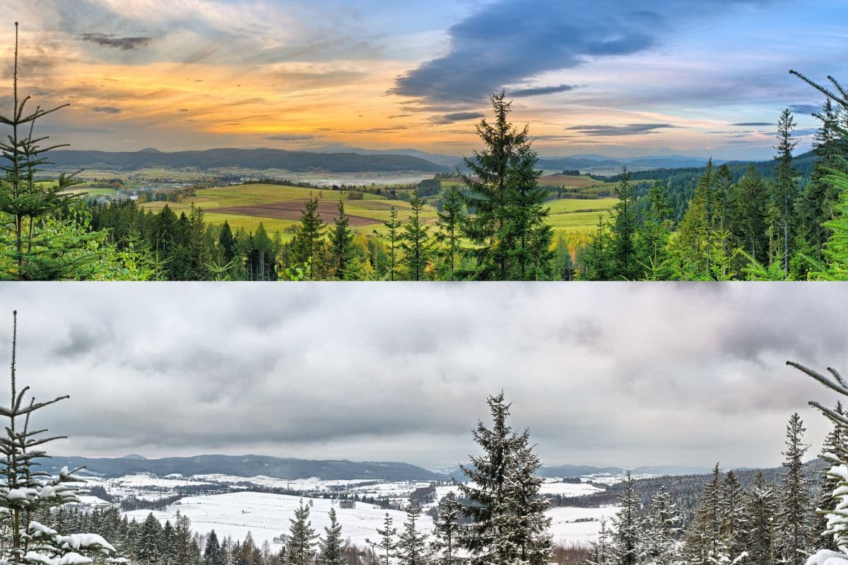 Nature and the Environment - What Is The Difference?