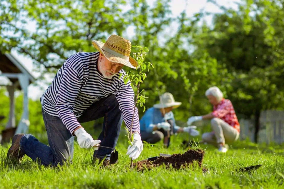 The Most Positive Human Impact on the Environment The Most Positive Human Impact on the Environment
