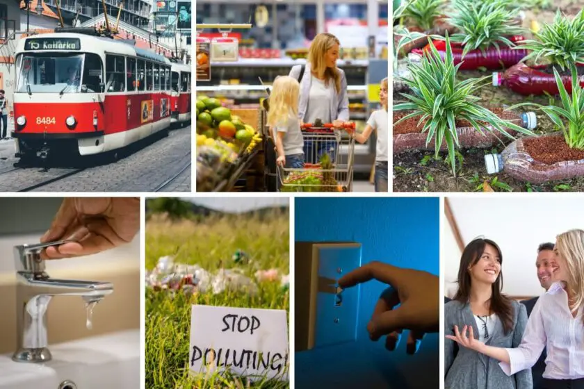 The Most Positive Human Impact on the Environment